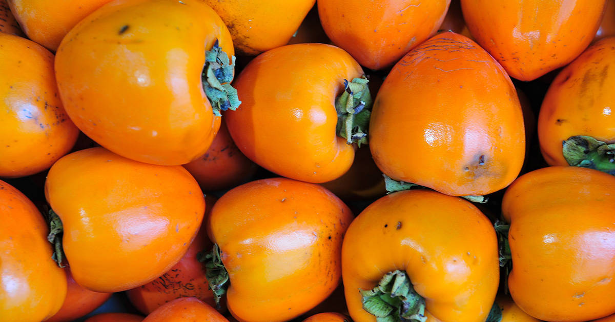 Persimmons - J&J Ramos Farms, Inc.